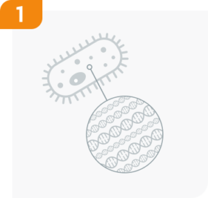 Function Generator™ - Primrose Bio, Inc.
